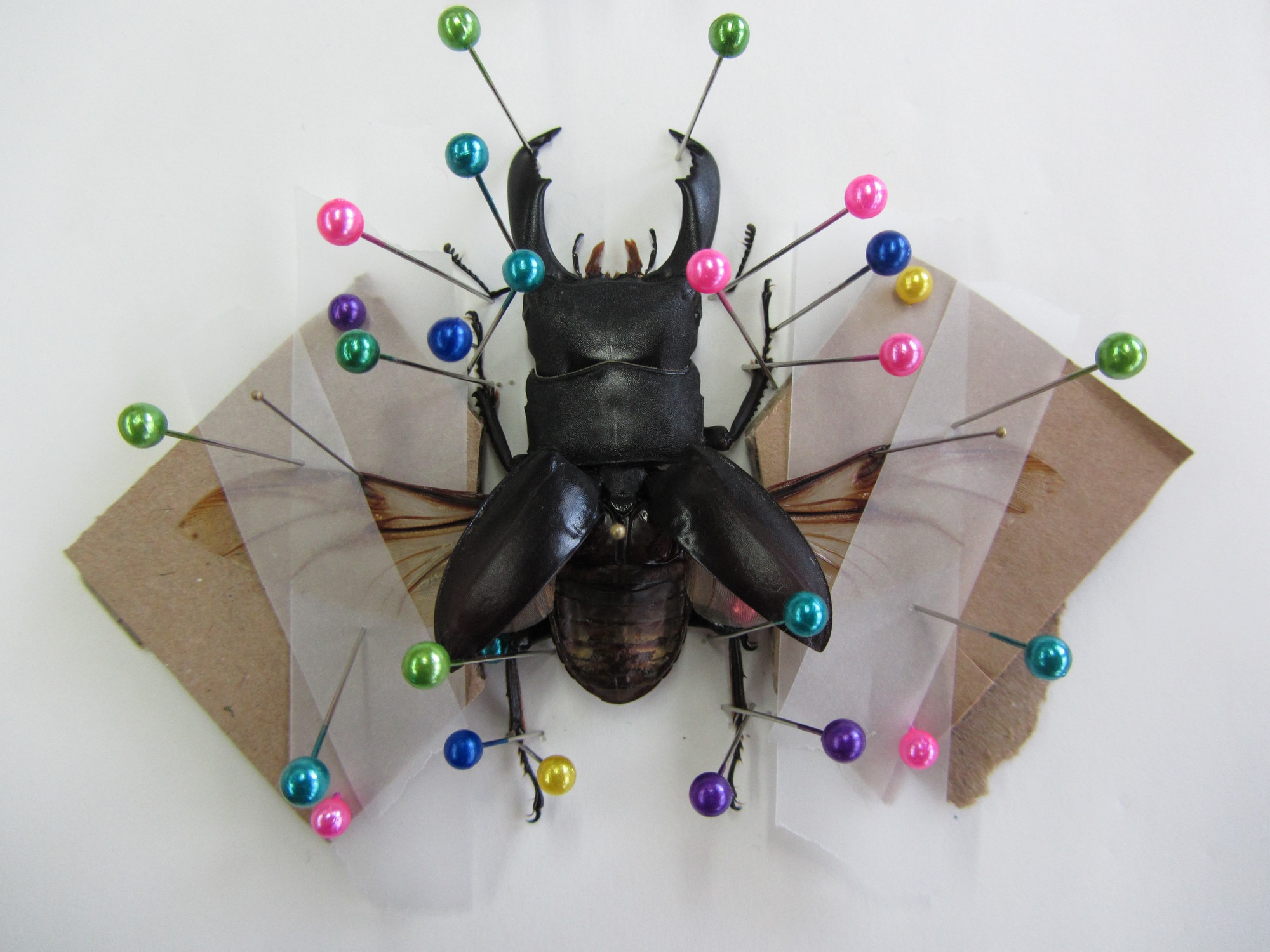 Spreiden en prikken | Museum De Bastei